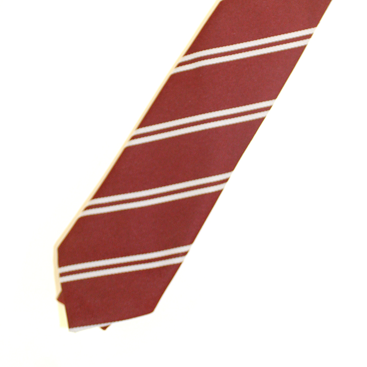 Wedmore School Tie